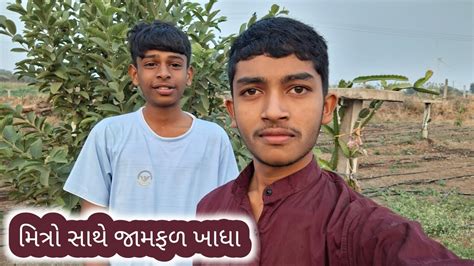 મિત્રો સાથે જામફળ ખાધા Mitro Sathe Jamfal Khadha Sujal Chavda
