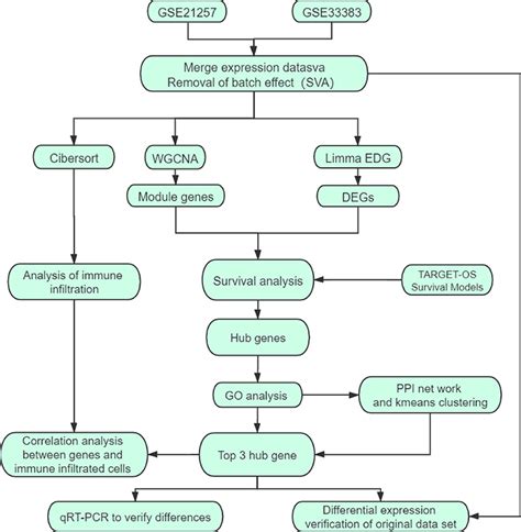 Prognostic Implications Of The Complement Protein C Q And Its Correlat OTT