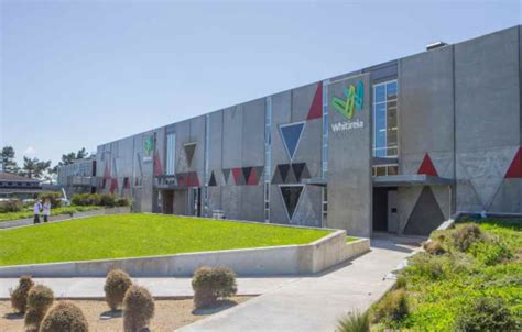wellington institute of technology weltec new zealand ican
