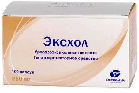 Эксхол, капсулы 250 мг, 100 штук — купить в интернет-аптеке OZON ...