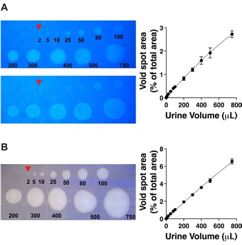 Real Time Void Spot Assay