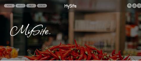 create custom website design and development by moxi creation24 fiverr