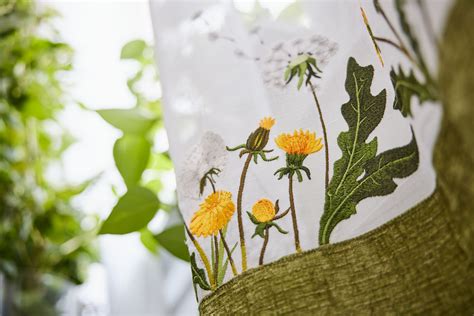 Dandelions