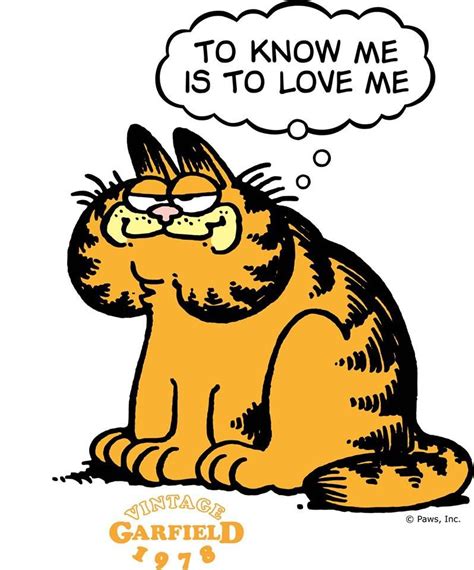 Garfield 1978 Garfield And Oldie Old School Garfield Garfield The Cat