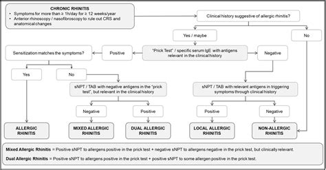V Brazilian Consensus On Rhinitis 2024 Brazilian Journal Of