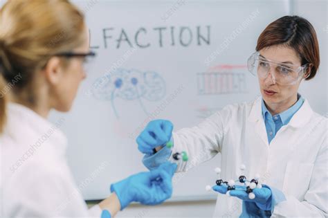 Sense Of Smell Research Conceptual Image Stock Image F0375486