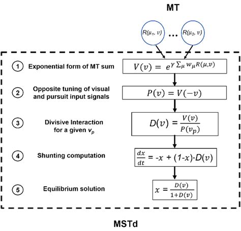The Log Gaussian Function Of Mt Velocity Tuning And The Input To The Download Scientific