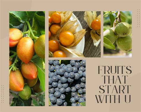 12 Unique Fruits That Start With U The Roaming Fork