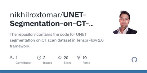Labels Nikhilroxtomar Unet Segmentation On Ct Scan Images In Tensorflow Github