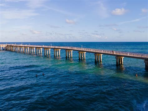 Lugares Para Pescar En Miami • Disfrutar En Usa
