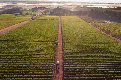 12 Oregon Wineries To Visit In 2023 — Best Wineries In Oregon