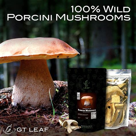 Dried Porcini Mushrooms Asda At Oliver Howell Price Blog
