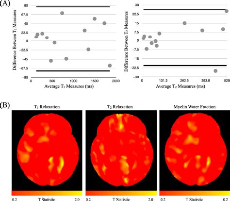 Figure 2 From Impact Of A Nutrient Formulation On Longitudinal Myelination Cognition And