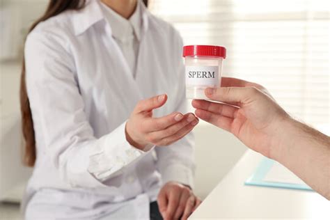 Sperm Donor Cost In Thailand 2025 Best And Shocking Affordable Options