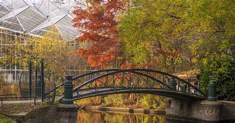 Hortus Botanicus In Amsterdam