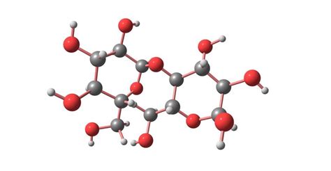 Natural Polymers Starch
