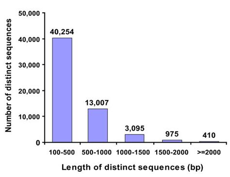 Length Distribution Of Distinct Sequences The Numbers Of Distinct