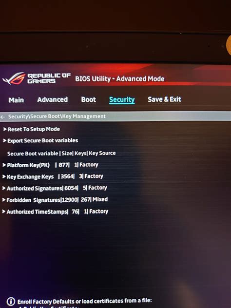 Uefi Capsule Firmware Update Rasusrog