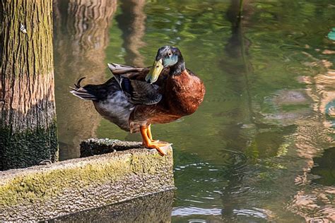 고화질 미세한 물 질감 배경 이미지 Hd 물 패턴 배경 물 워터 배경 일러스트 및 사진 무료 다운로드 Pngtree