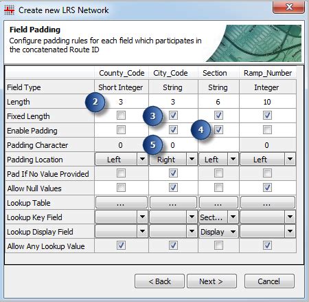 Configuring Padding Null And Lookup Table SettingsArcMap Documentation