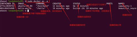 Ubuntu中使用docker