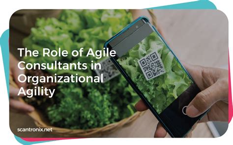 The Role Of Agile Consultants In Organizational Agility