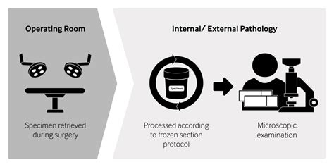 Pathology Specimen Collection Pathology Specimen Packaging For Un3373