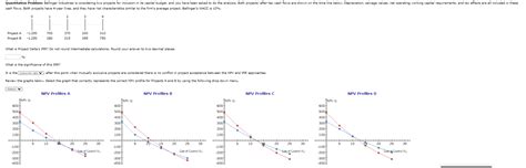 solved what is project delta s irr do not round