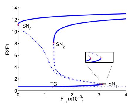 Optimized Bifurcation Diagram For 4 Gene Model β1 22186 β2 4 β3