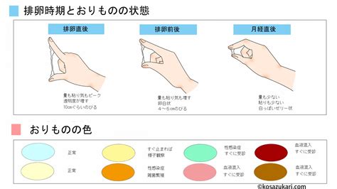 【助産師が解説！】産み分け成功！！女の子になるx精子を育てる4つのコツ 三軒茶屋artクリニック
