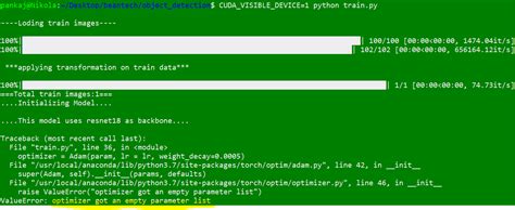 Python Pytorch Error Optimizer Got An Empty Parameter List On Linux