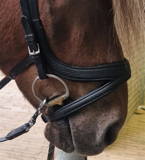 Draupnir® Anatomisk Myk Kryss Nesereim Draupnir