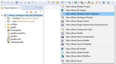 Overriding Module Apps JSP In Liferay DXP LIFERAY STACK