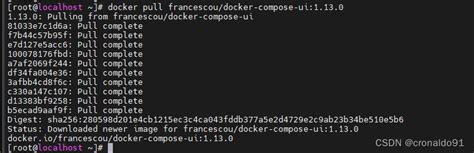 Docker容器与虚拟化技术：openeuler 部署 Docker Uiopeneuler Docker Csdn博客