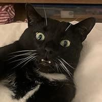 Understanding Race Class Gender And Sexuality A Conceptual Framework By Lynn Weber Goodreads