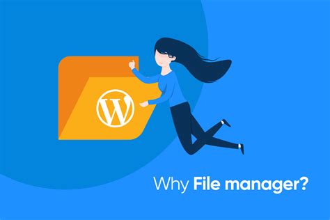 How To Access Server Files In Wordpress Without Ftp Or Cpanel