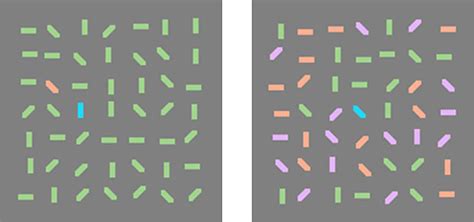 Combination Of Bottom Up Saliency And Top Down Feature Based Attention