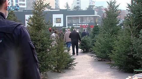 წიწვოვანი ხეების უკანონო მოპოვება რეალიზაციის ფაქტი Youtube