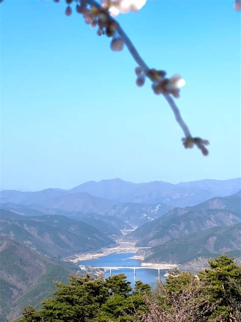 군위 바람이 좋은 저녁 뷰맛집 캠핑장 네이버 블로그