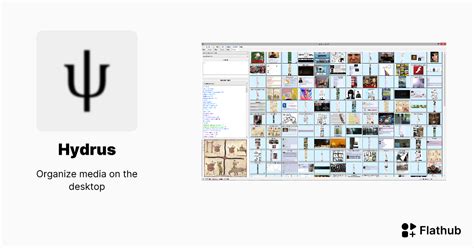 Hydrusをlinuxにインストール Flathub