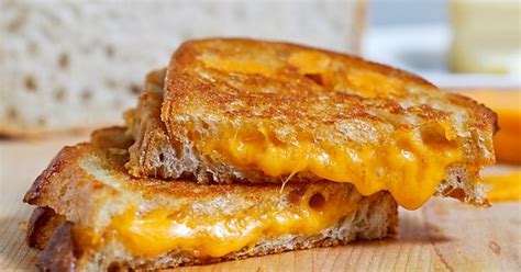 Pavlovian Experiment Album On Imgur