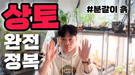 상토에 대해 제대로 알려드림 흙 종류 Youtube
