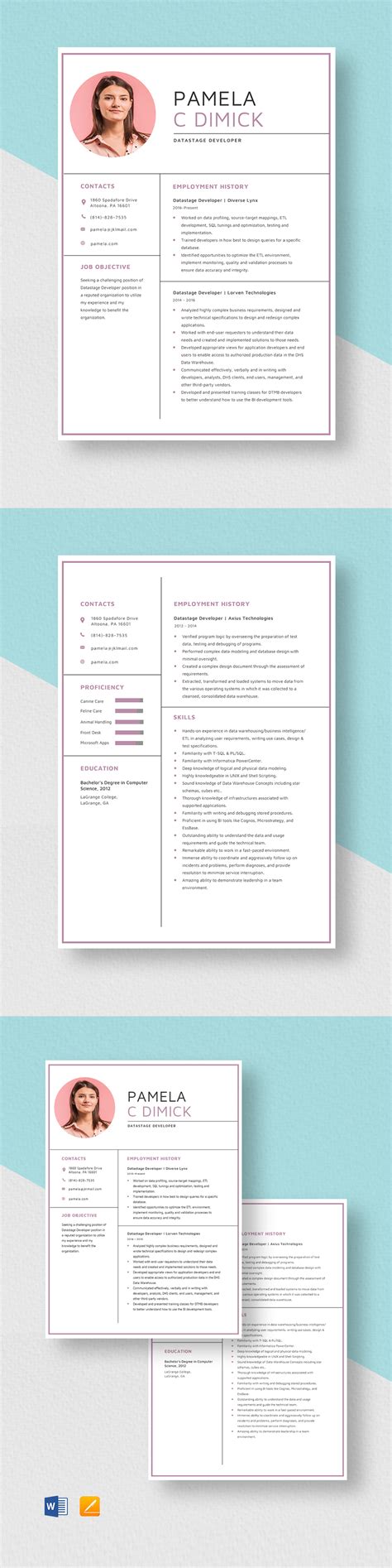 Datastage Developer Resume Template Word Apple Pages