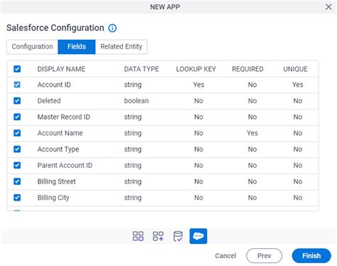 Form Based App With Salesforce Data Source Classic