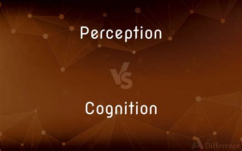 Perception Vs Cognition — Whats The Difference