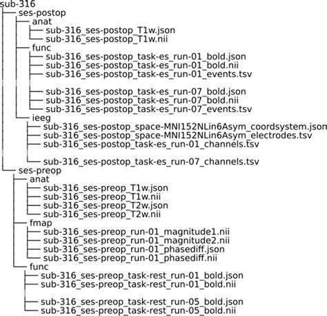 example of the bids data structure for one subject here we see the