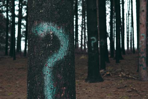 streamline data pipelines how to use whylogs with pyspark for data