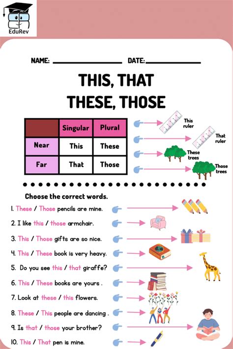 Printable Worksheet Determiners English Grammar Class 5 Pdf Download