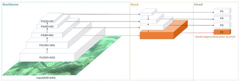 Rhs Yolov8 A Lightweight Underwater Small Object Detection Algorithm Based On Improved Yolov8