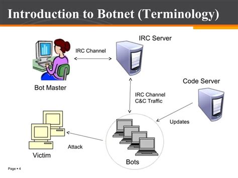 botnet detection techniques
